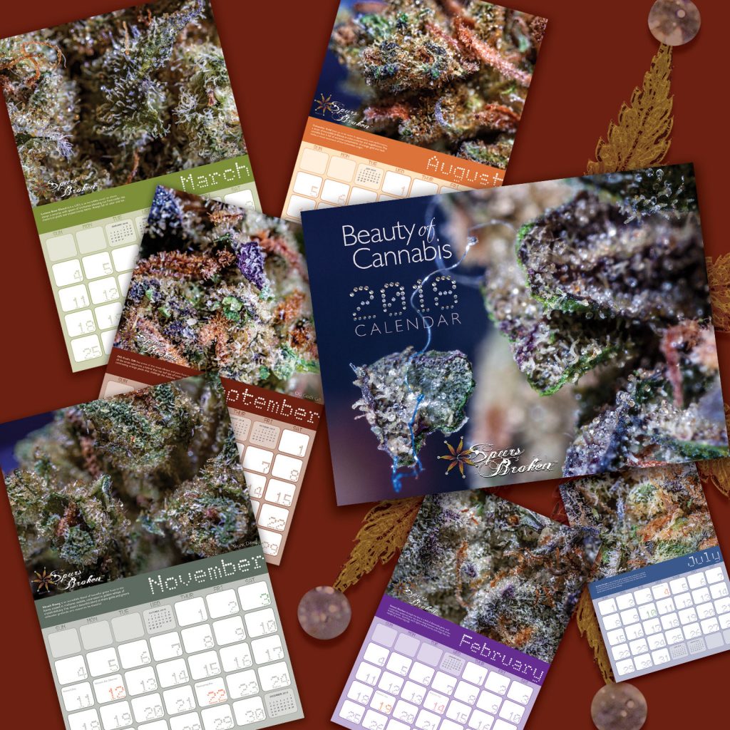 Beauty of Cannabis Calendar 2018 - The Poetry Box