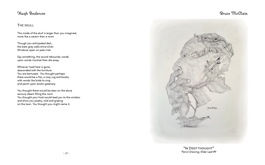 The Poeming Pigeon - Issue #12 - The Poetry Box